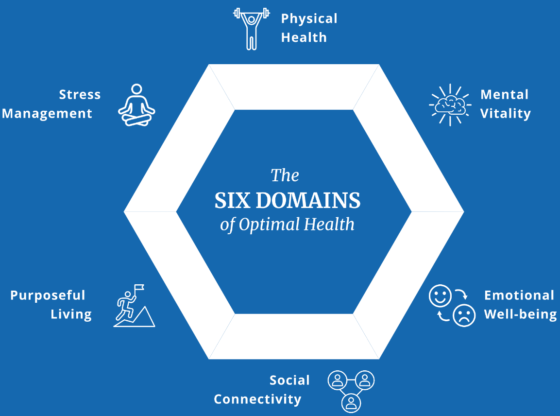 The Six Domains of Health and Vitality | Dr. Alan Rozanski
